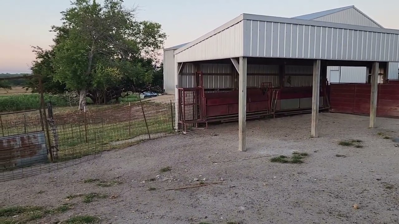 Update on Goat and Sheep Management School