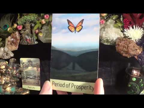 ♌️Leo | The Psychic Lightworker! | Soul Path Reading