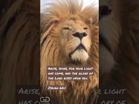 Arise, shine, for your light has come, and the glory of the Lord rises upon you. Isaiah 60:1