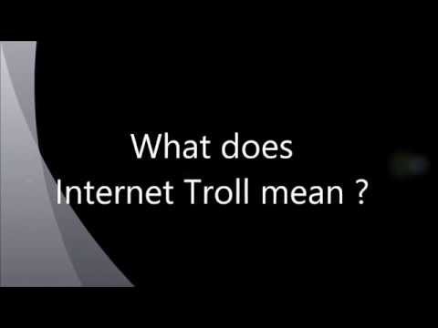 What does Internet Troll mean?