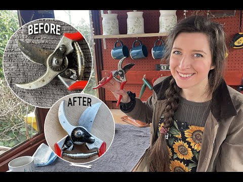 How to Clean and Sharpen Secateurs / Homegrown Garden
