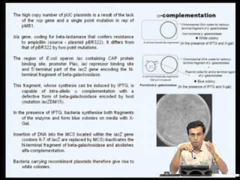 Mod-08 Lec-29 Cloning and Expression vectors