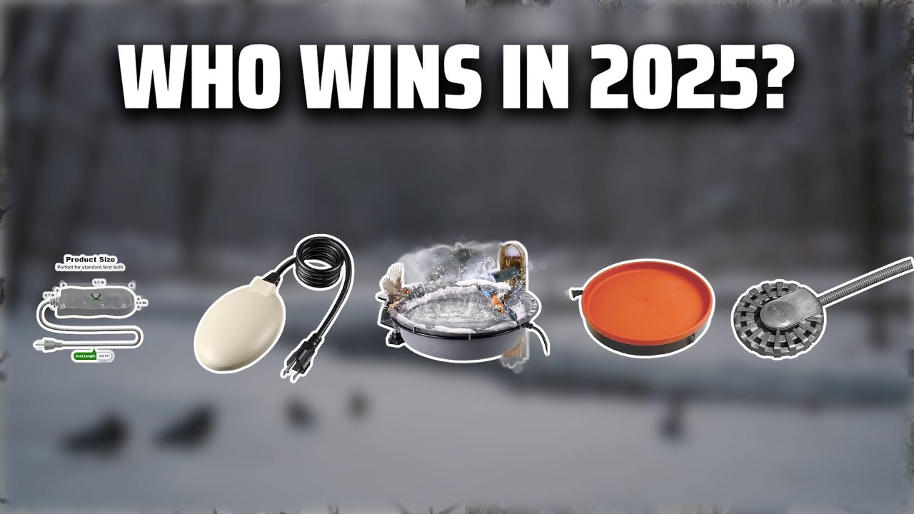The Top 5 Best Birdbath Heater in 2025 - Must Watch Before Buying!