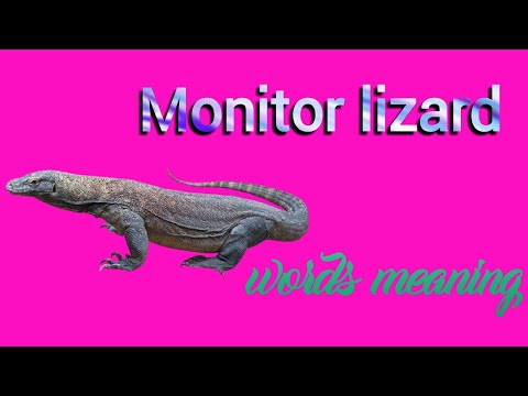 बिस्खोपरा को इंग्लिश में क्या कहते हैं | monitor lizard meaning in hindi | biskhopara ka arth kya he