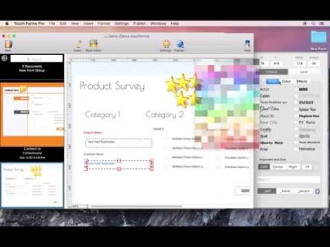 How to format web form input text field font style and colors using Touch Forms Pro for Mac
