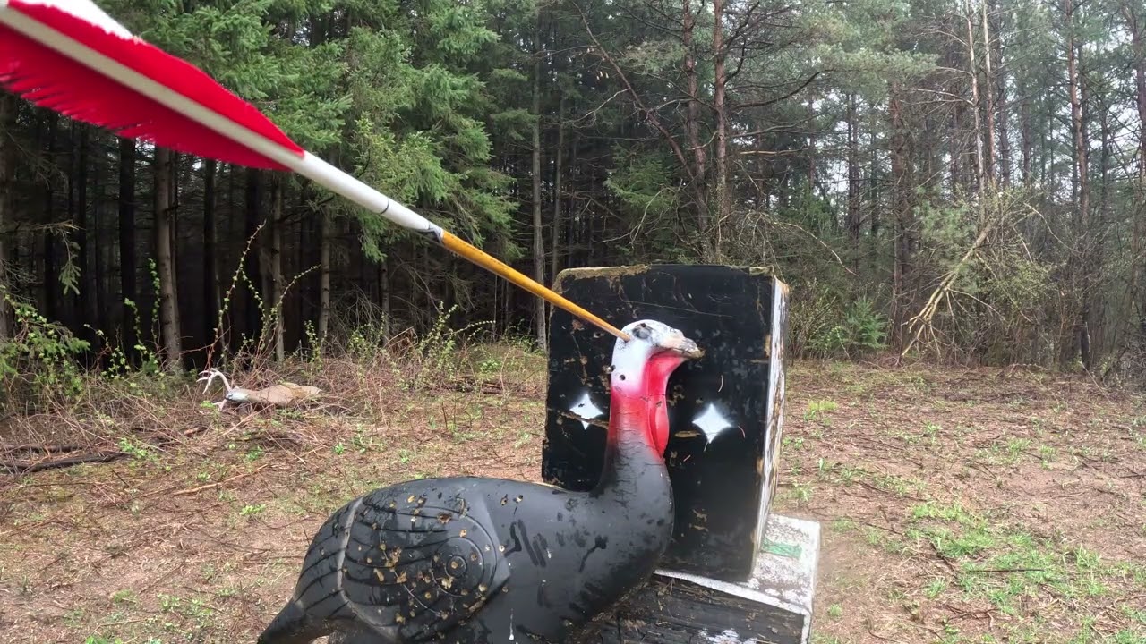 Turkey Head Shot | 3D Target Practice