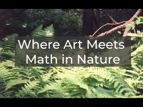 Ed-Venture: Where Art Meets Math in Nature