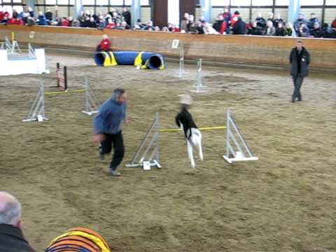 VDH DM 2009 J3 Gerd Bitsch Djeff