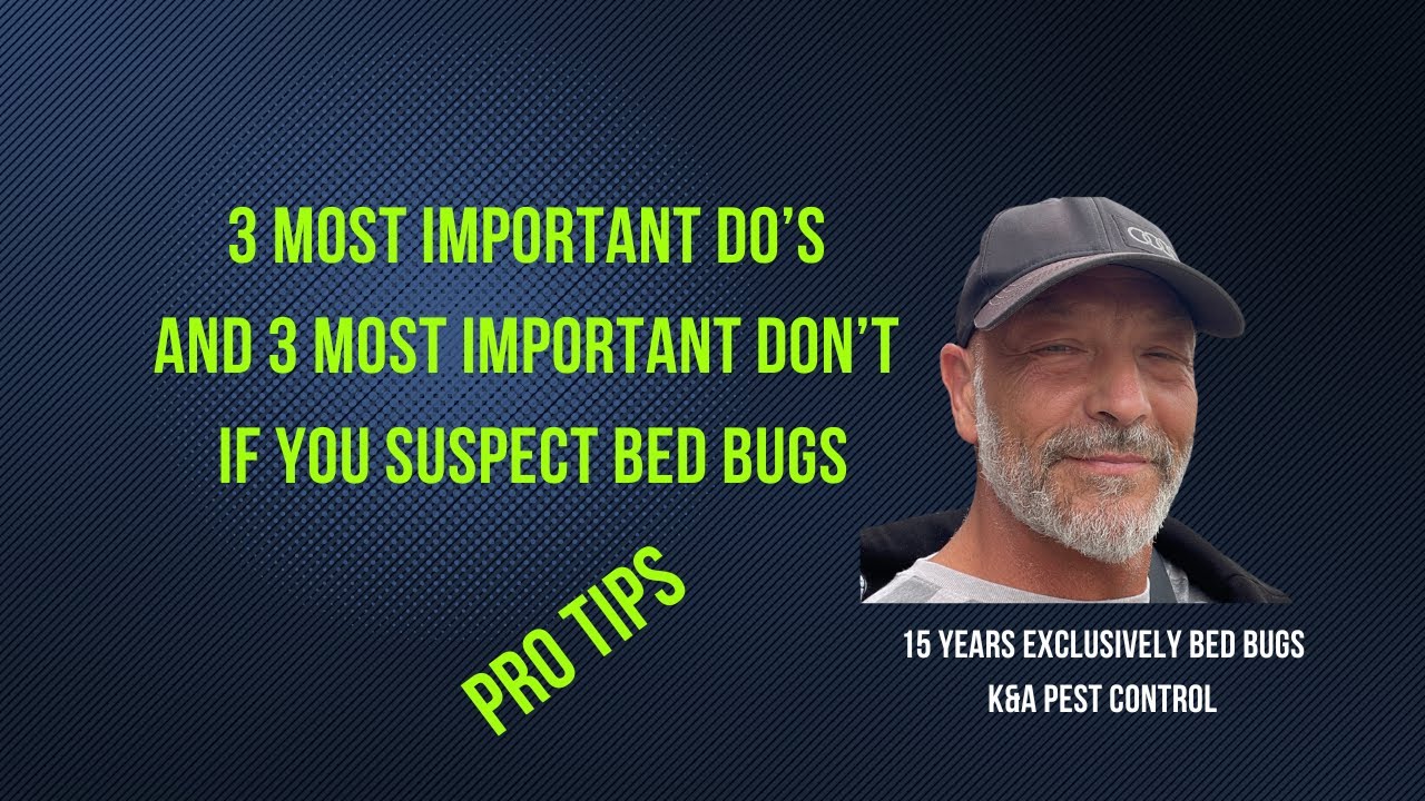Debunking Bed Bug Myths  What You Need To Know