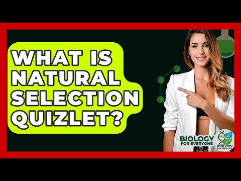What Is Natural Selection Quizlet? - Biology For Everyone