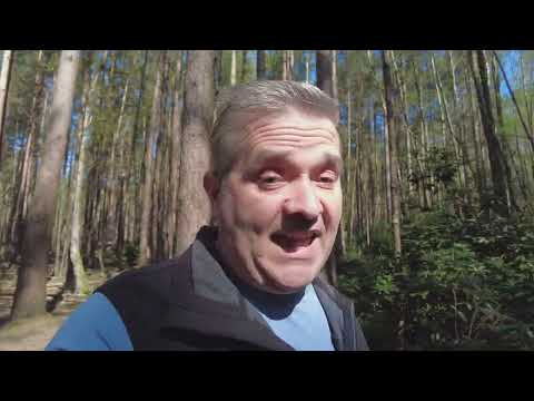 UK Survival Considerations when Walking With Dogs in Great Outdoors
