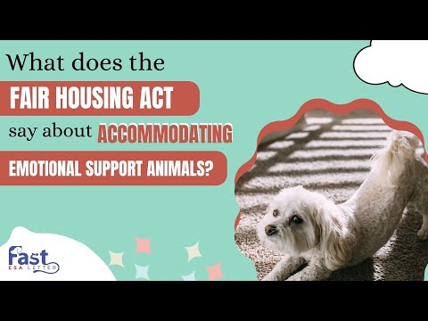 What Does the Fair Housing Act Say about Accommodating Emotional Support Animals?