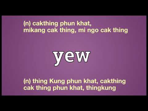 yew meaning explaining in English Ngawn Dictionary yew = cakthing phun khat, mikang cak thing,