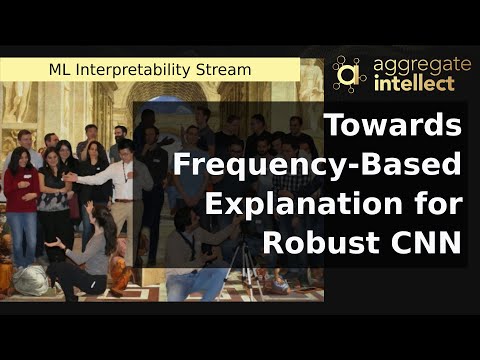 Towards Frequency-Based Explanation for Robust CNN | AISC