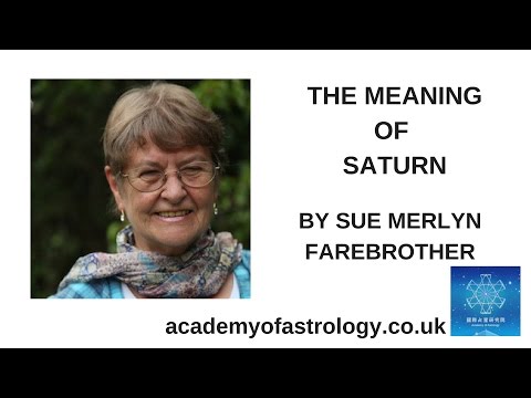 The Meaning of Saturn by Sue Merlyn Farebrother