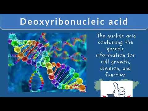 DNA biology class | DNA and RNA | structure of dna | dna | full form of dna and rna#biology science