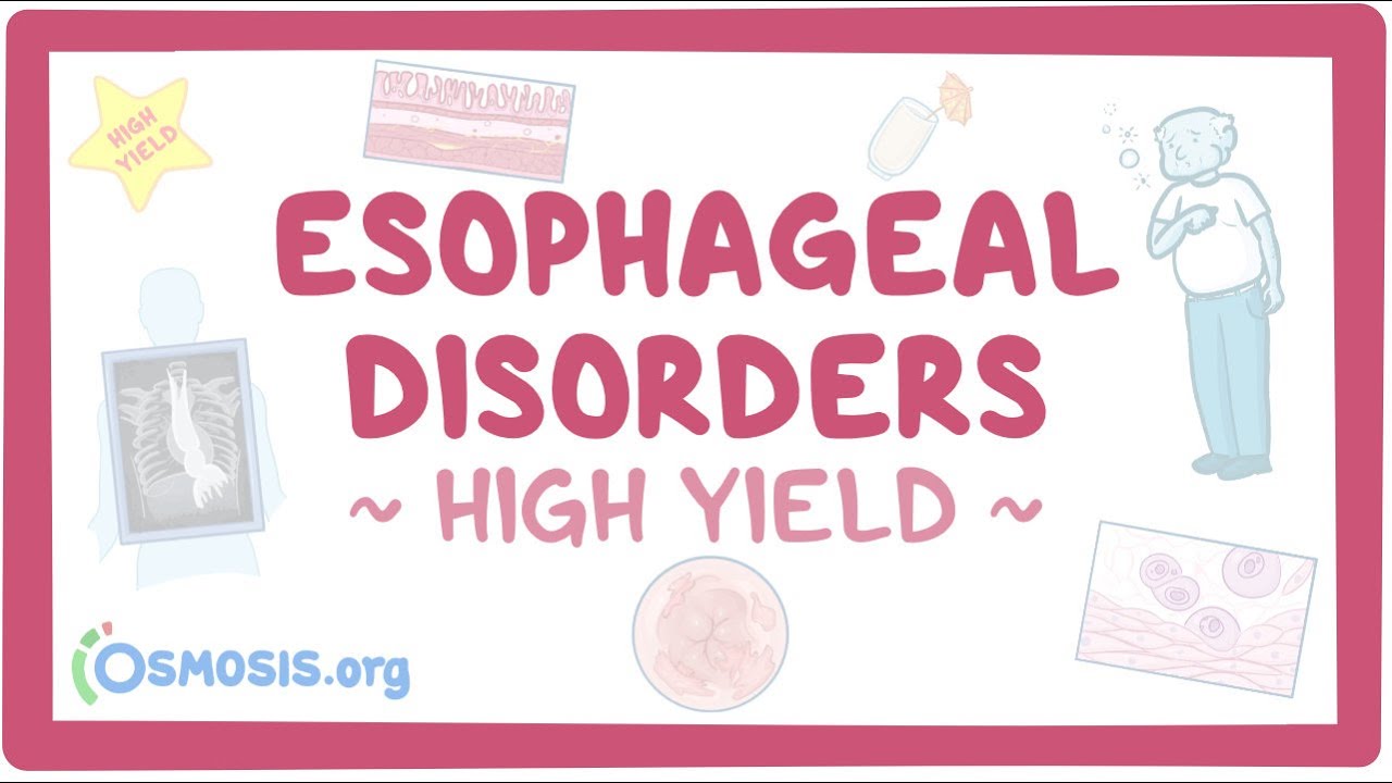 Esophageal disorders: Pathology review