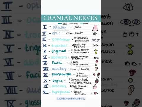 CRANIAL NERVES| for medical and nursing students | sensory/motor function | mbbs | norcet aspirants