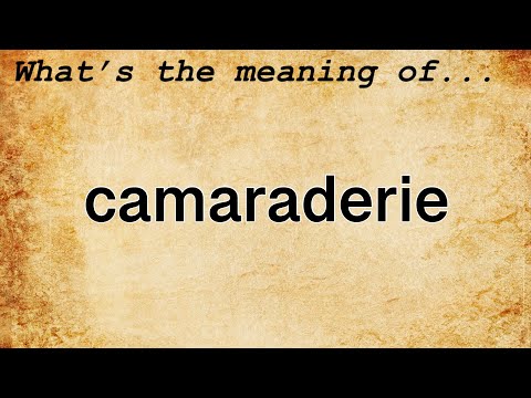Camaraderie Meaning : Definition of Camaraderie