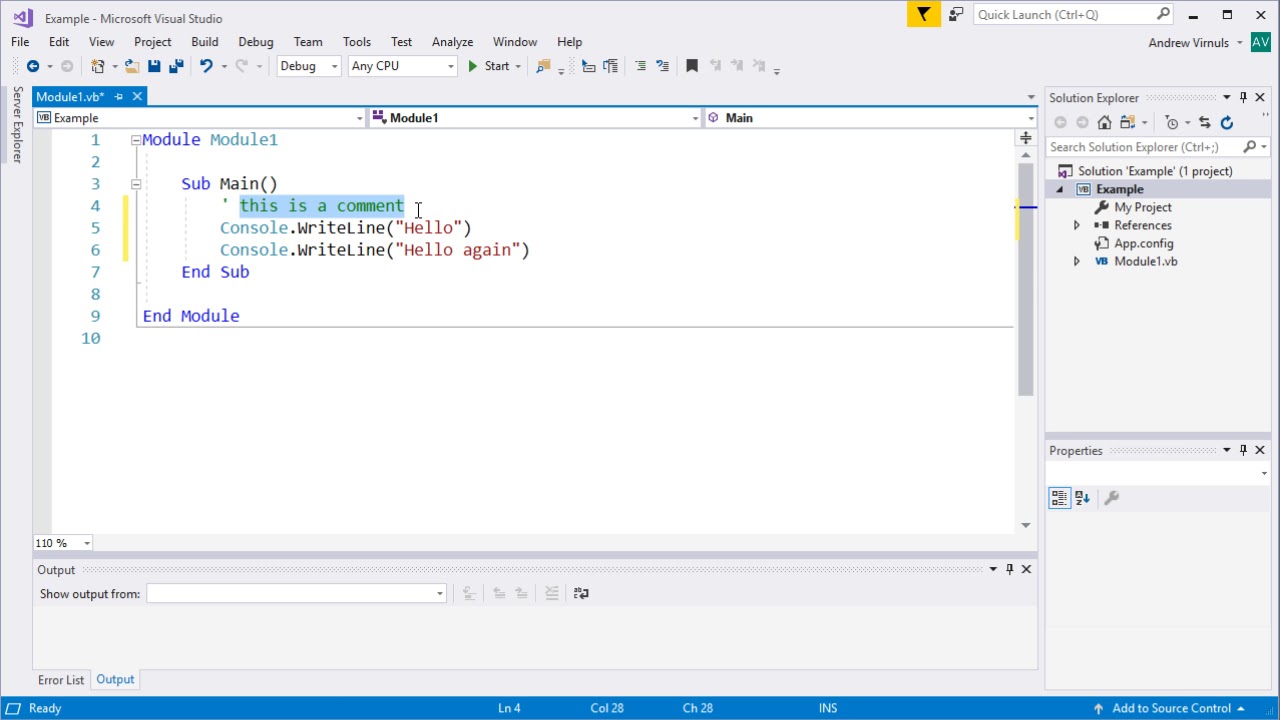 Visual Basic - Using Comments