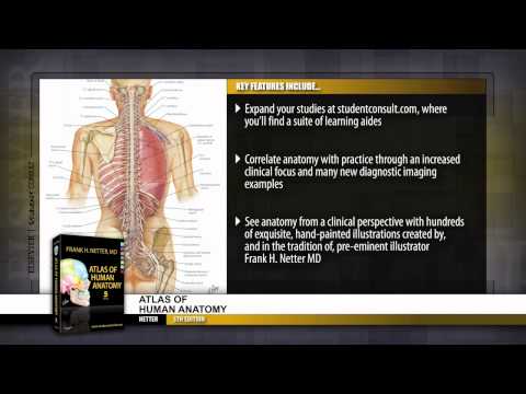Netter's Atlas of Human Anatomy, 5th Edition
