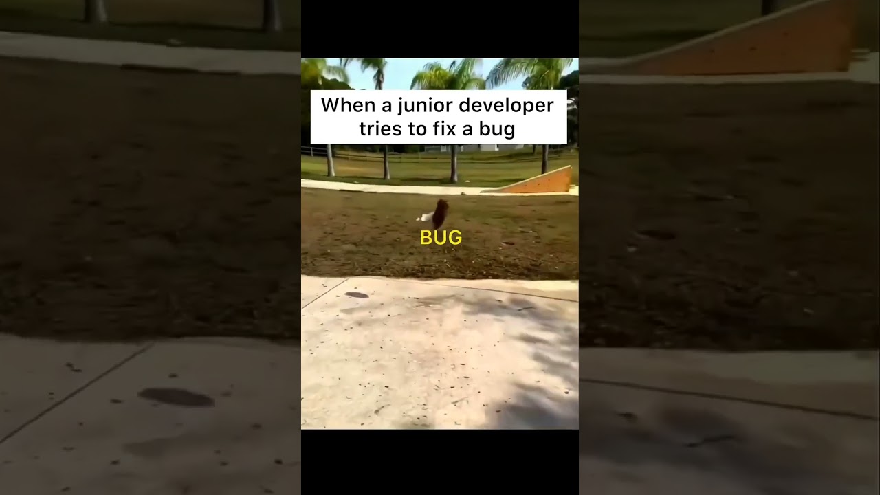 Developer 🤝 Bugs...#pythonlearning #code #Programming #coding #codehumor #joke #meme #memes