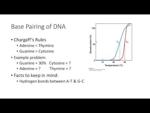 BCH4024 Exam 1 Review