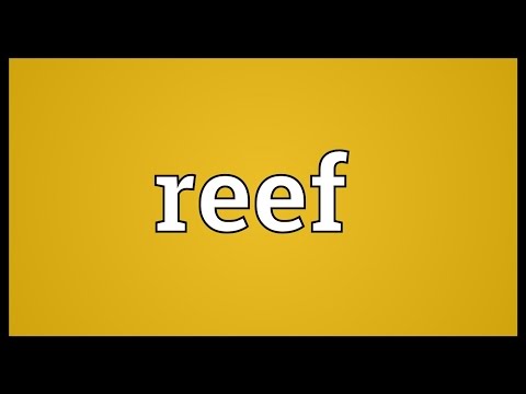 Reef Meaning