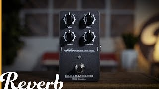 Ampeg Scrambler SC-1 - What To Know & Where To Buy | Equipboard