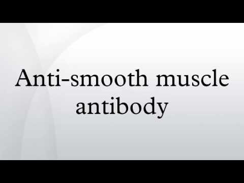 Anti-smooth muscle antibody