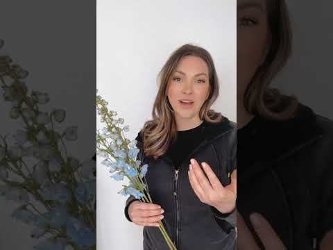Delphinium product review!