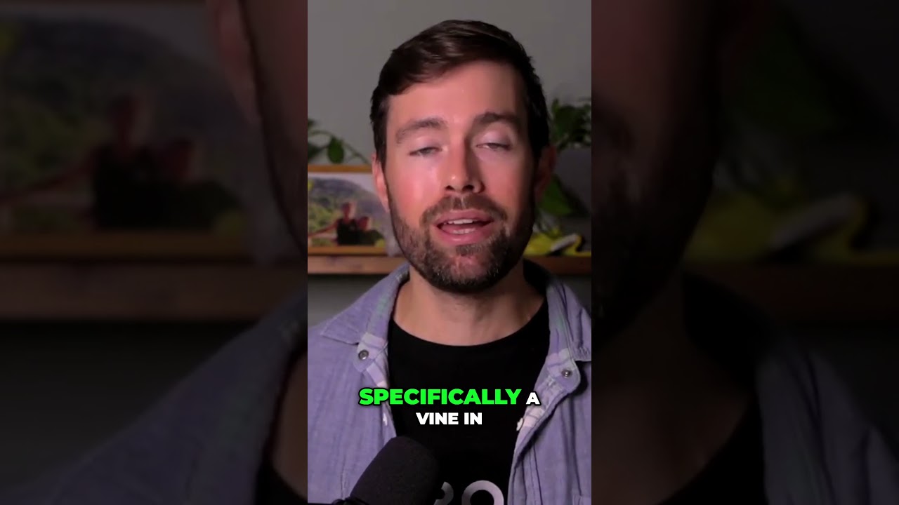 Secrets of DMT: A Plant Psychedelic