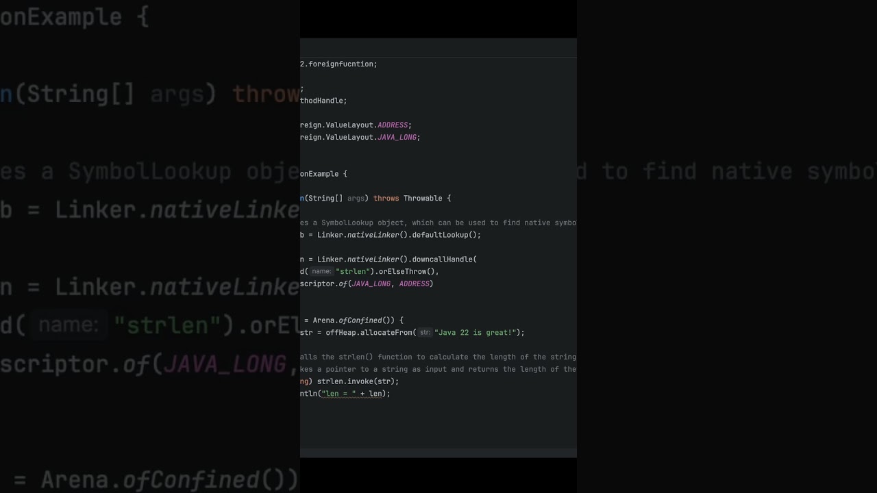 The Java Foreign Function & Memory API #java22