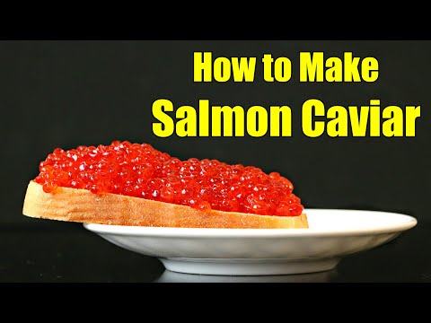 Salmon Caviar – How to Make Caviar from Salmon Eggs