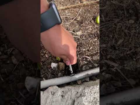 The Importance of Regularly Checking Your Drip Irrigation System for Plant Health