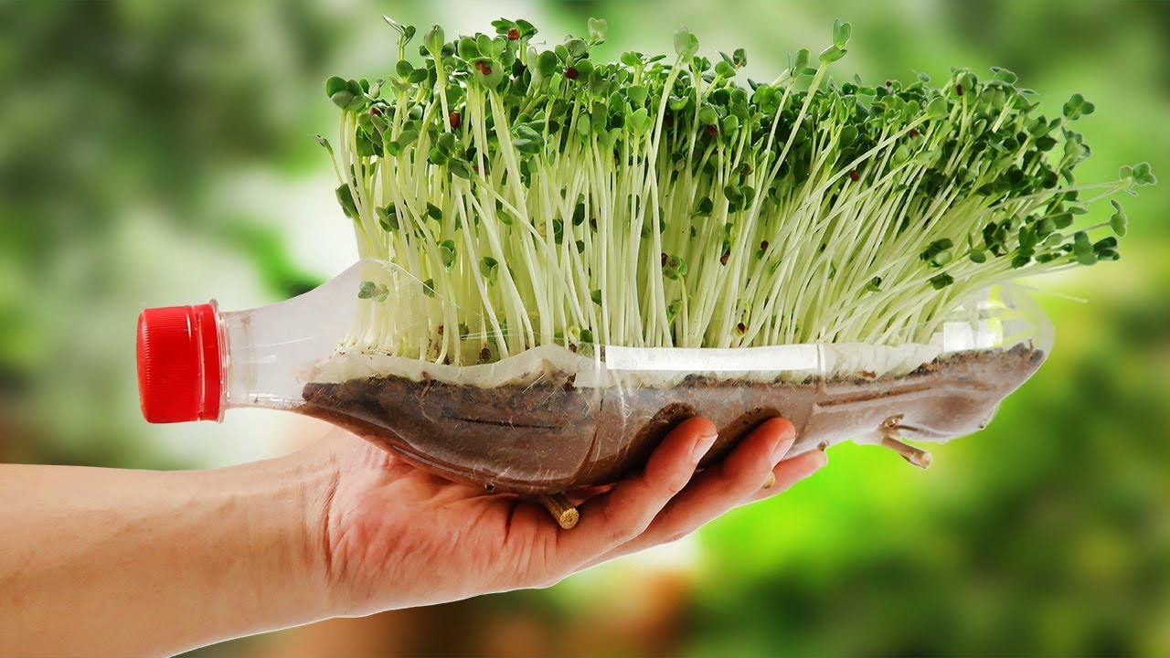 Amazing Plastic Bottle Vertical Garden Ideas You Should Know