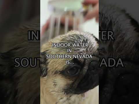 Southern Nevada's Water Recycling