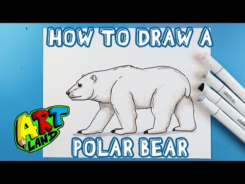 Polar Bear Drawing Step by Step Tutorial – I'm Youtuber – Follow my ...