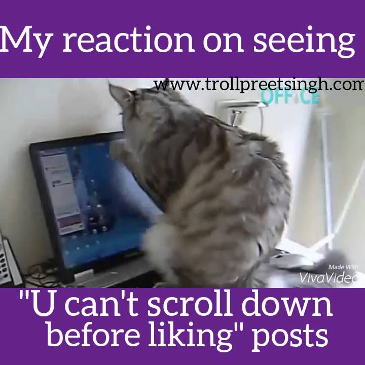 I can't scroll down ? Oh really ??