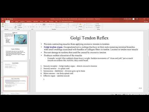 133 Reflex arc, stretch reflex, Golgi tendon reflex, withdrawal reflex, reciprocal innervation, cros