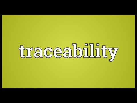 Traceability Meaning