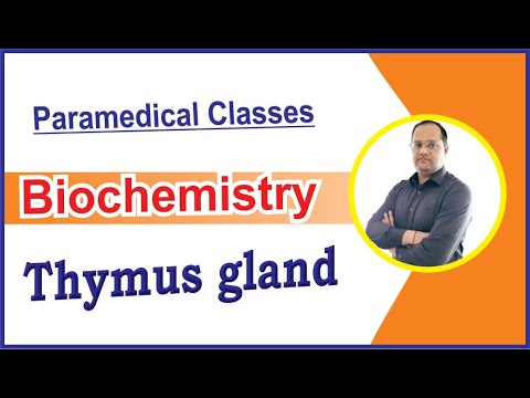 Thymus gland anatomy & physiology in Hindi || structure || functions || Hormones || Biochemistry ||