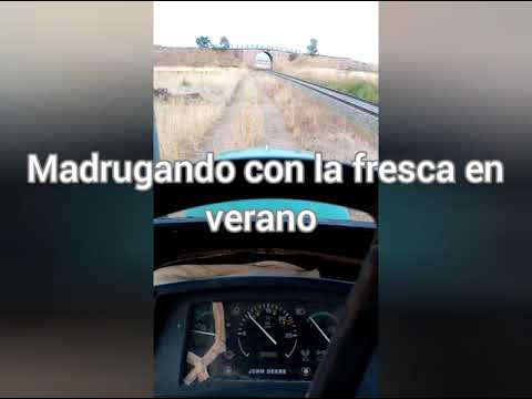Tratamientos Fitosanitarios 2,4D salsola kali