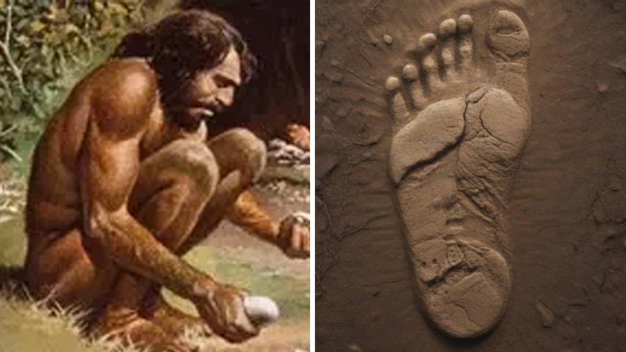 90,000 Year Old Human Footprints Just Discovered in Morocco