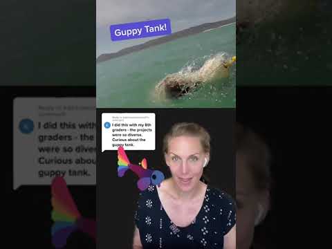 Guppy Tank, like Shark Tank for teens • Project-based learning #shorts #teach #teacher #education