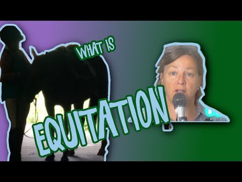 Equitation Tips - What is equitation anyway?