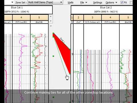 IP: Multi-Well Correlation