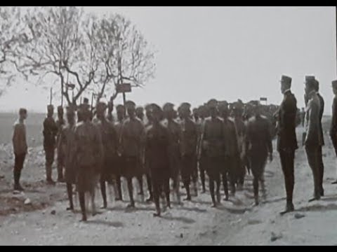 Siamese Expeditionary Forces in ww1 | World History Amino