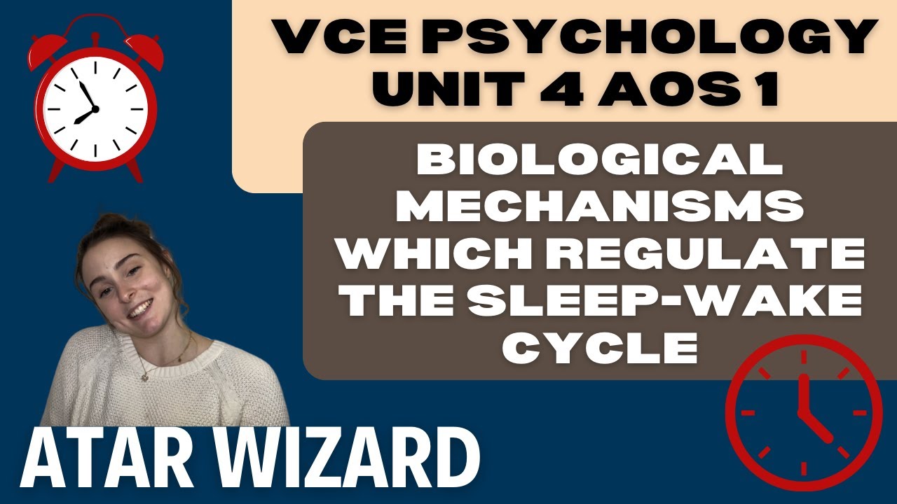 VCE Psychology Unit 4 AOS 1, biological mechanisms which regulate the sleep-wake cycle.