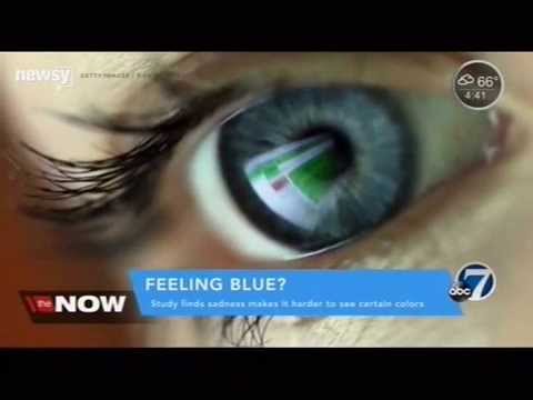 RIT on TV: RIT Color Science on KMGH